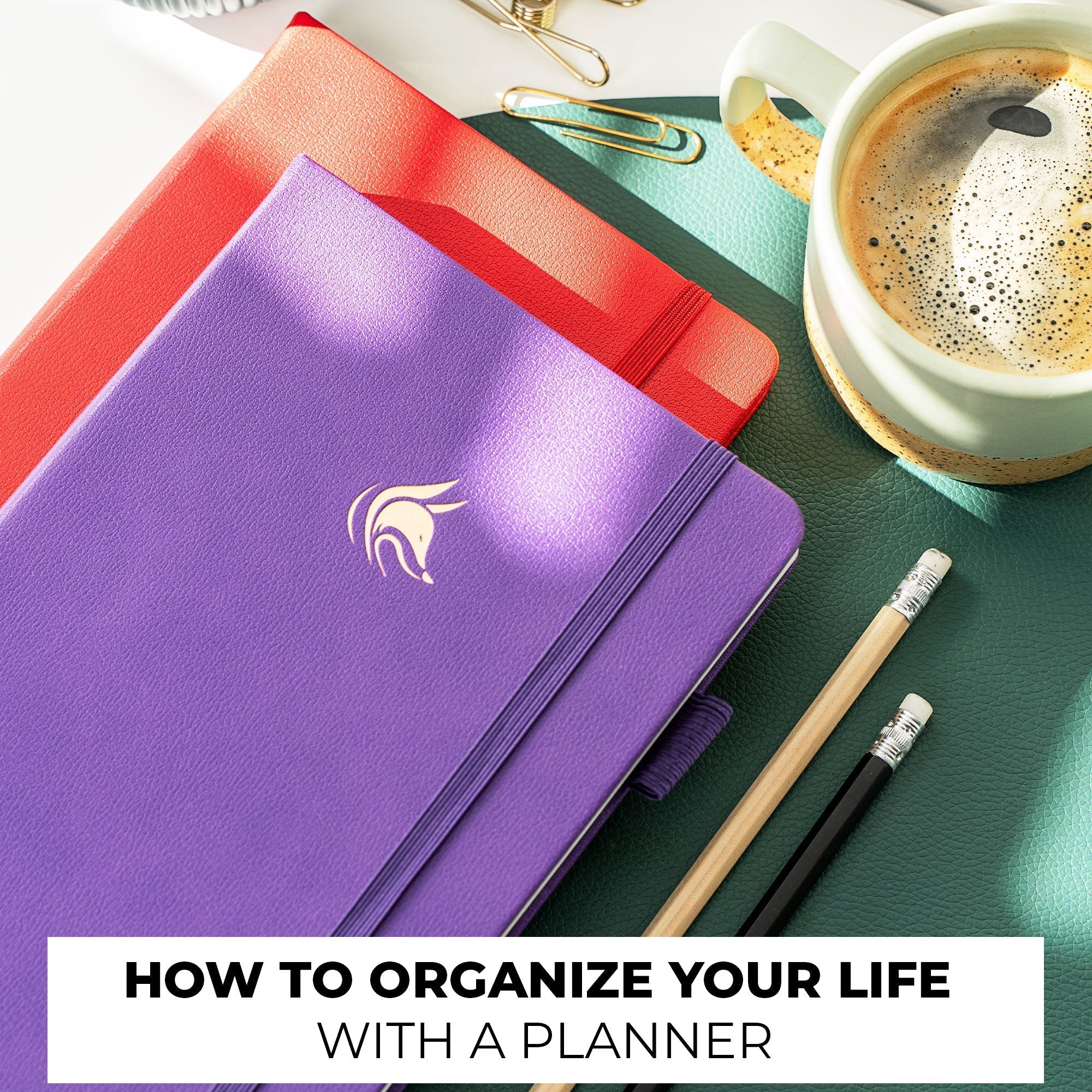 How to Organize Your Life with a Planner (Even If You Feel Overwhelmed ...
